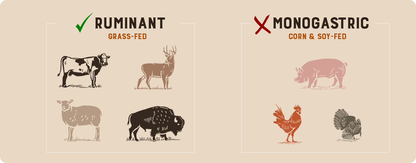 The Best Places To Find High-Quality Meat And Organs