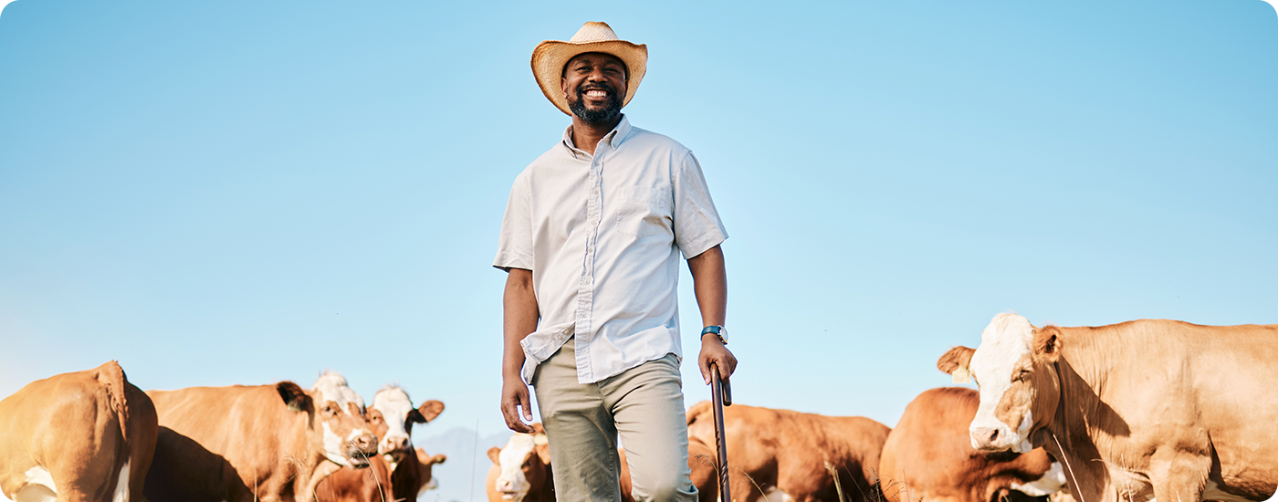 The Best Places To Find High-Quality Meat And Organs