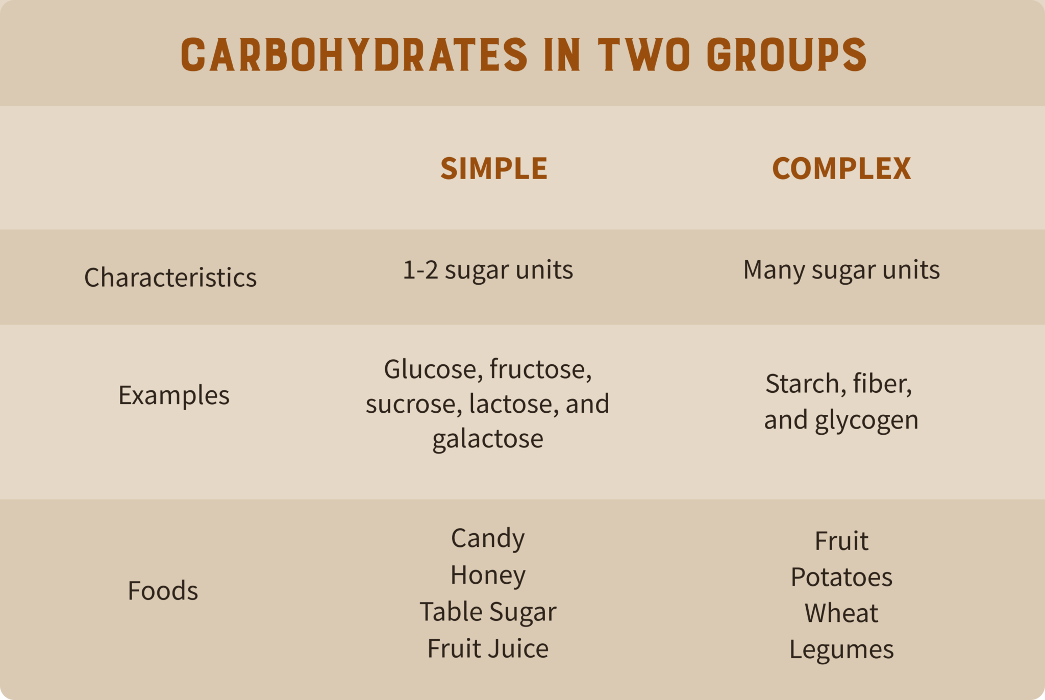 Are Carbs Bad For You? 4 Myths Debunked