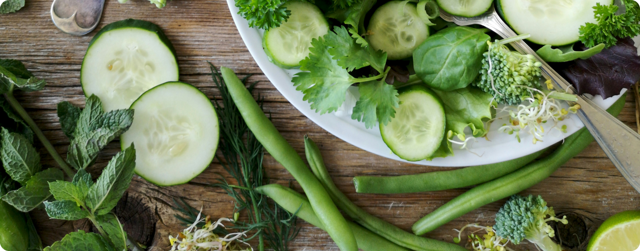 The Beginner's Guide To Plant Toxins (Why Antinutrients Matter)