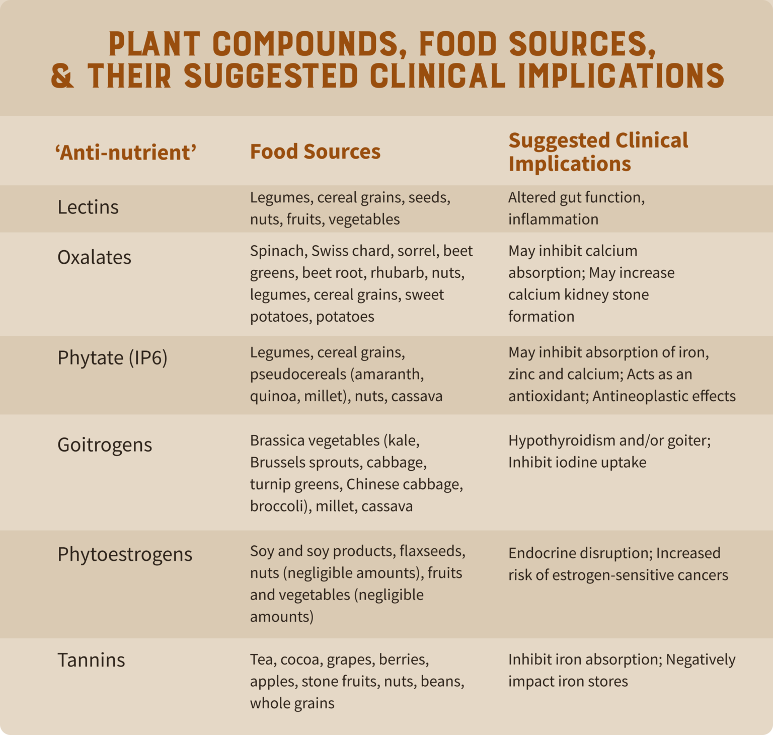 The Beginner's Guide To Plant Toxins (Why Antinutrients Matter)
