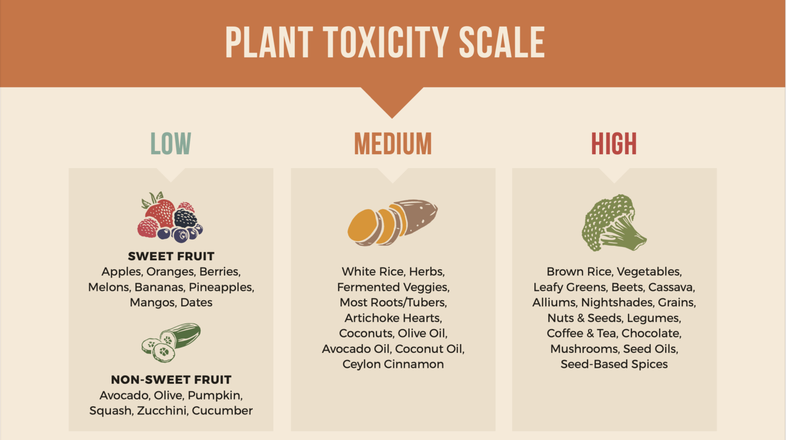 The Beginner's Guide To Plant Toxins (Why Antinutrients Matter)
