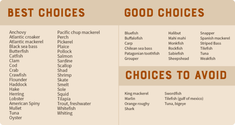 What To Eat On A Carnivore Diet (Food List And Meal Plan!)