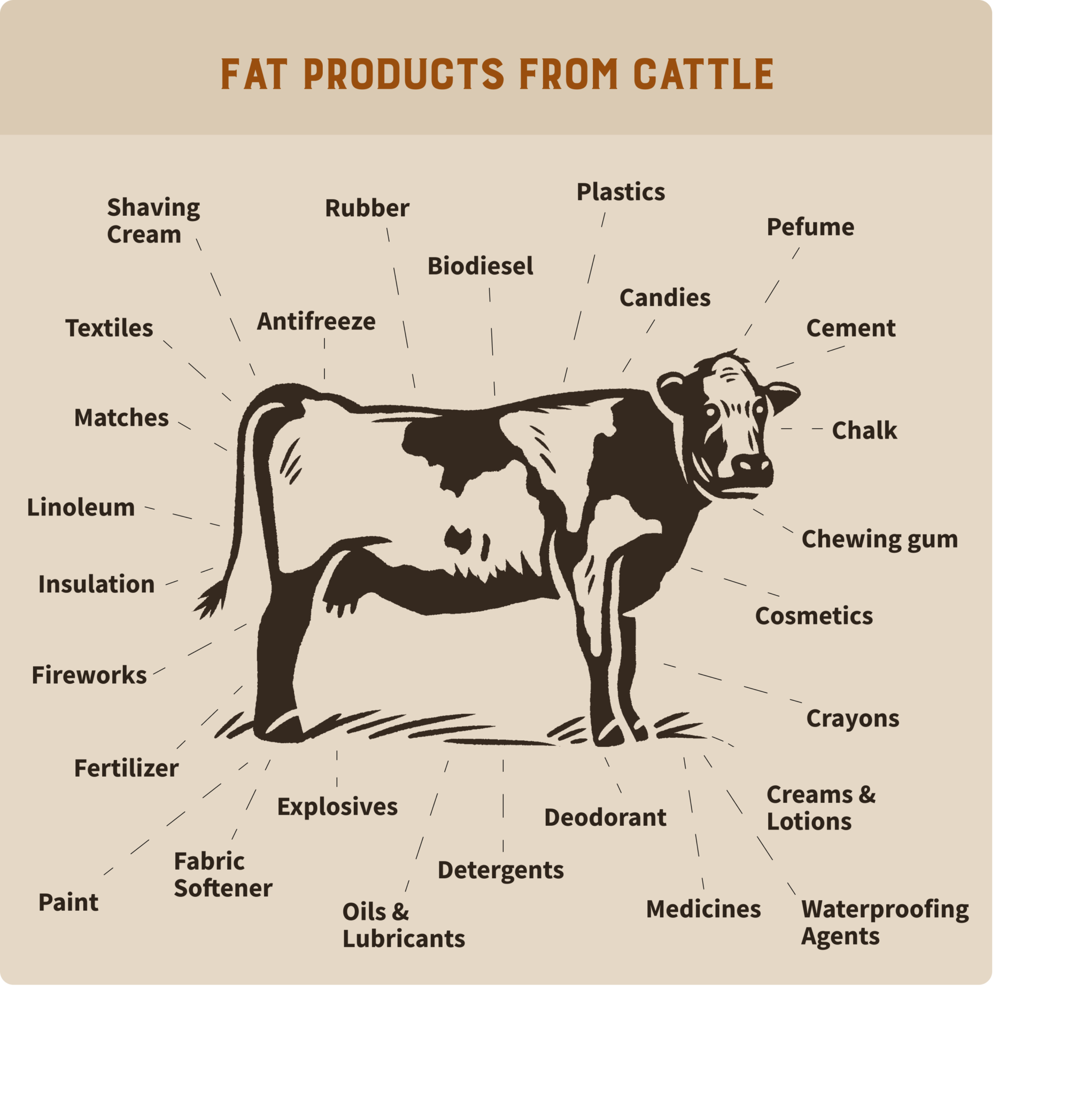 8 Amazing Beef Tallow Benefits & How To Make It