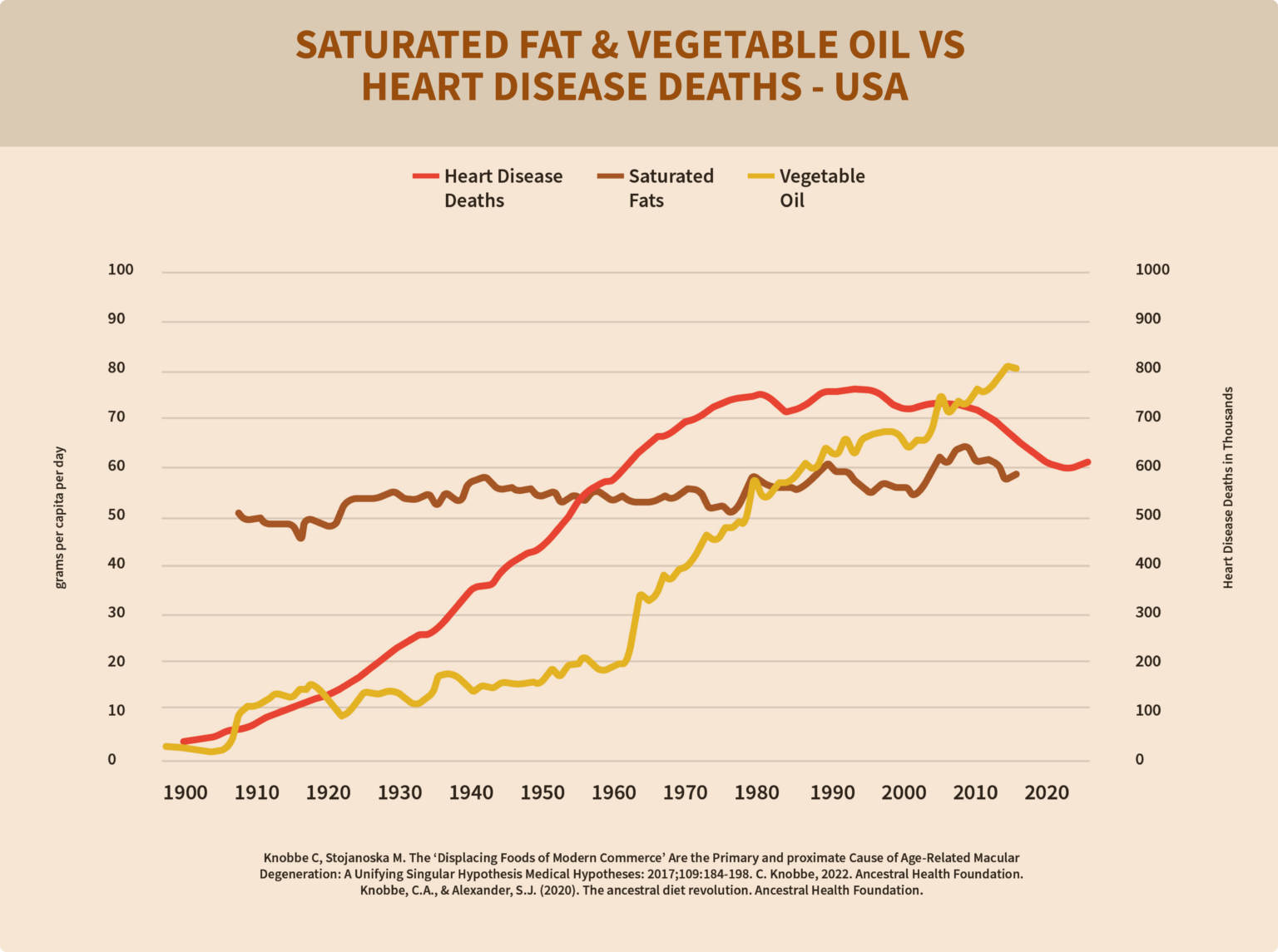 The Hidden History And Controversial Rise Of Seed Oils