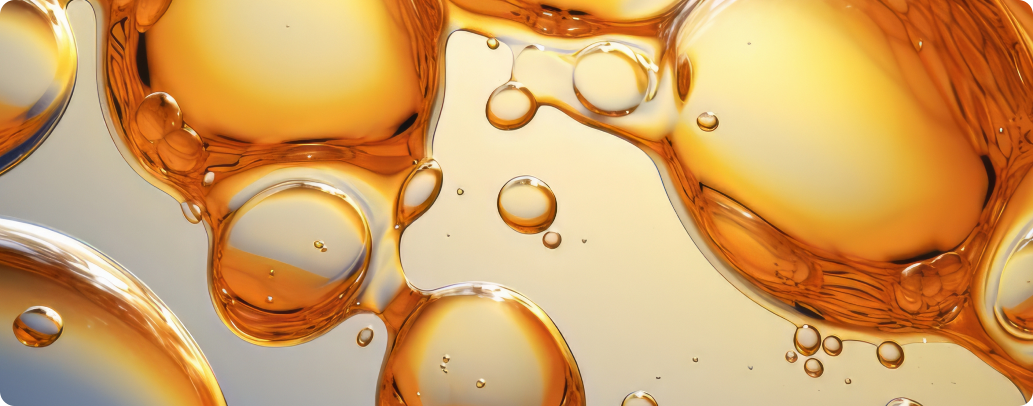 The Hidden History And Controversial Rise Of Seed Oils