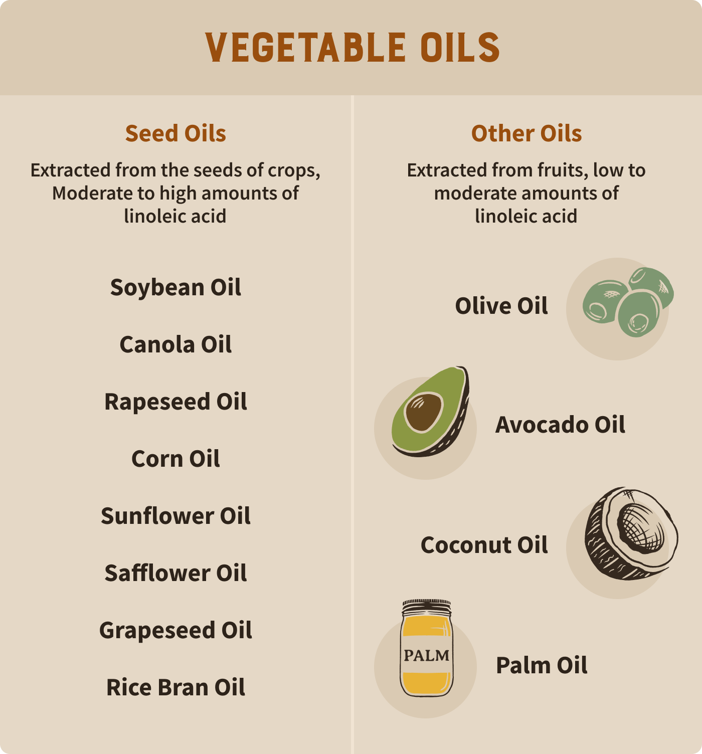Is Palm Oil A Seed Oil: Benefits & Risks