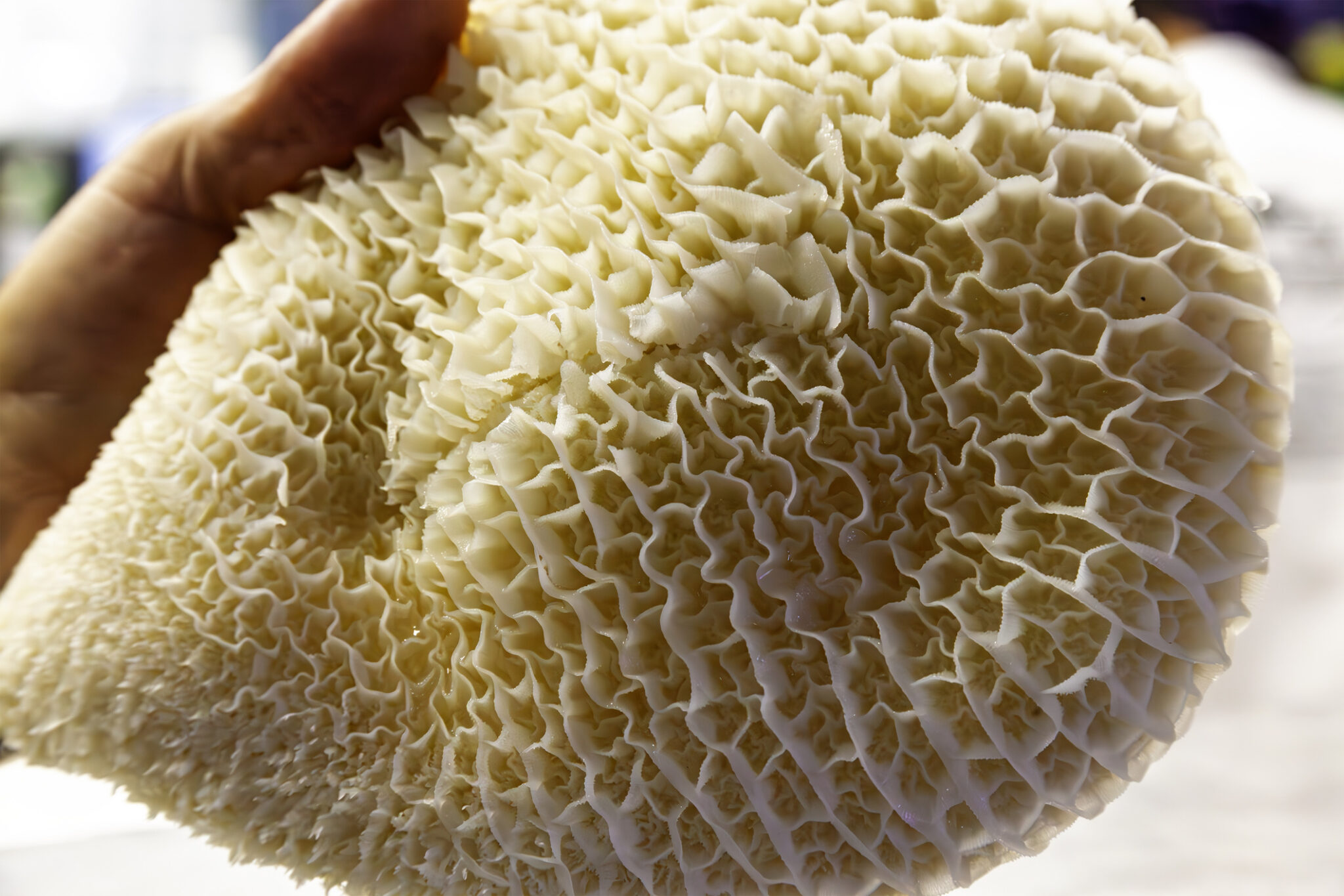 What Is Tripe? 7 Health Benefits & Cooking Tips For Best Flavor